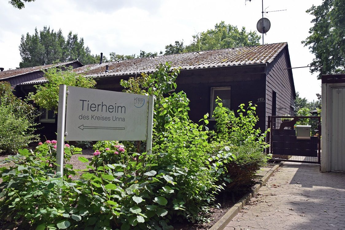 Tierheim / Kreis Unna Tierheim / Kreis Unna
